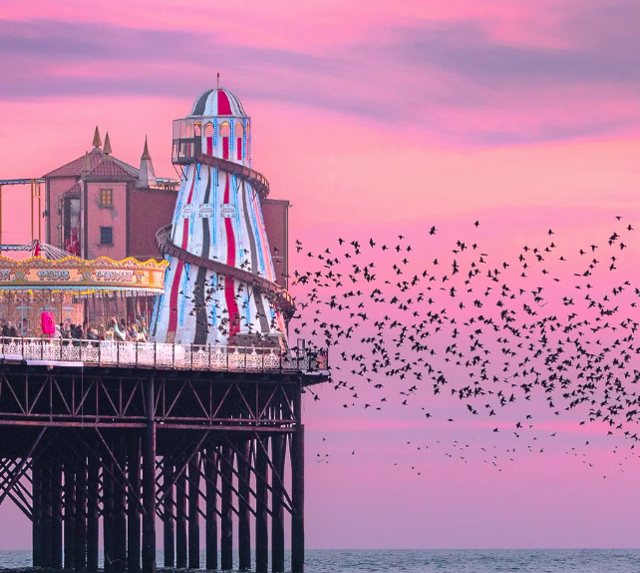 Magical Murmurations: Starlings at Brighton Palace Pier